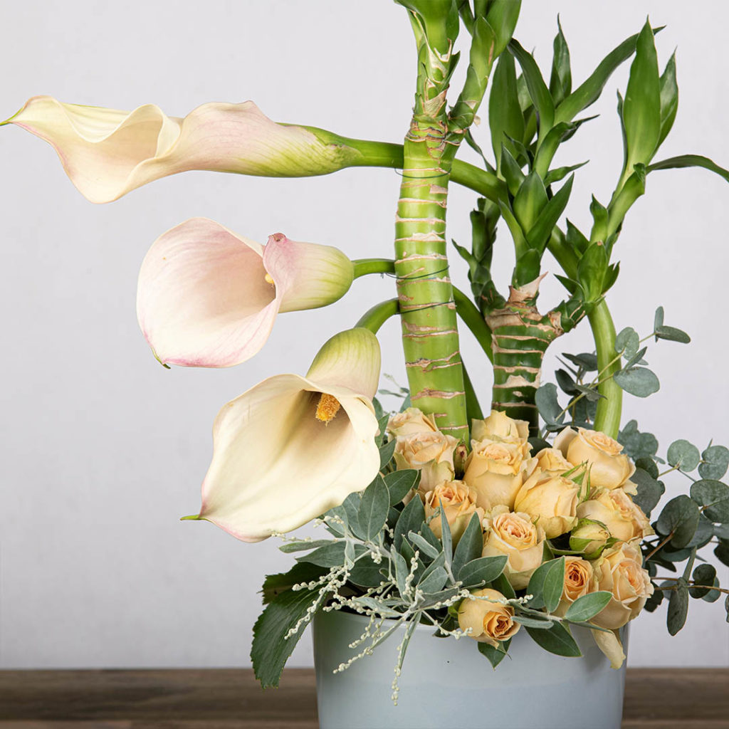 Calla Floral Forest - Alistair Floral Design